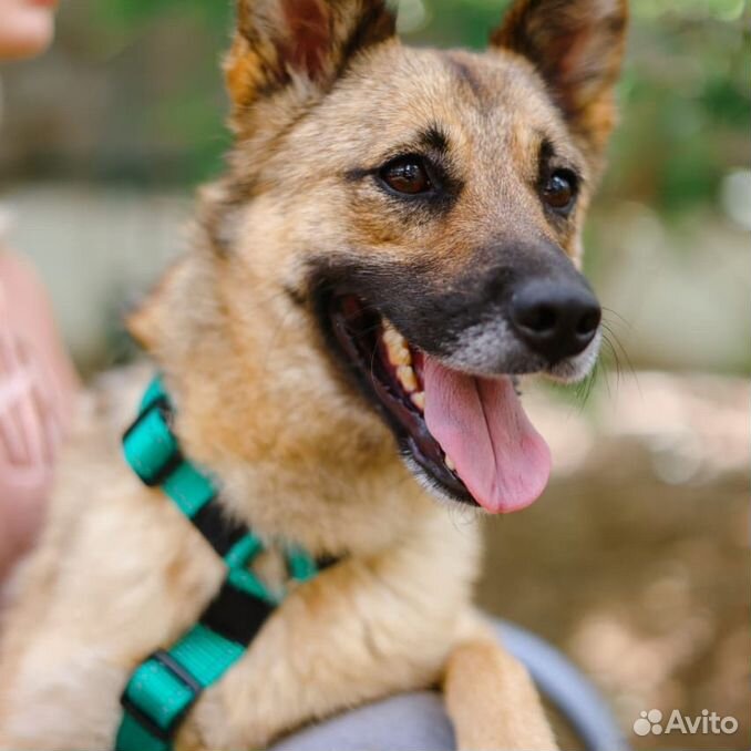 Озорная Ларочка