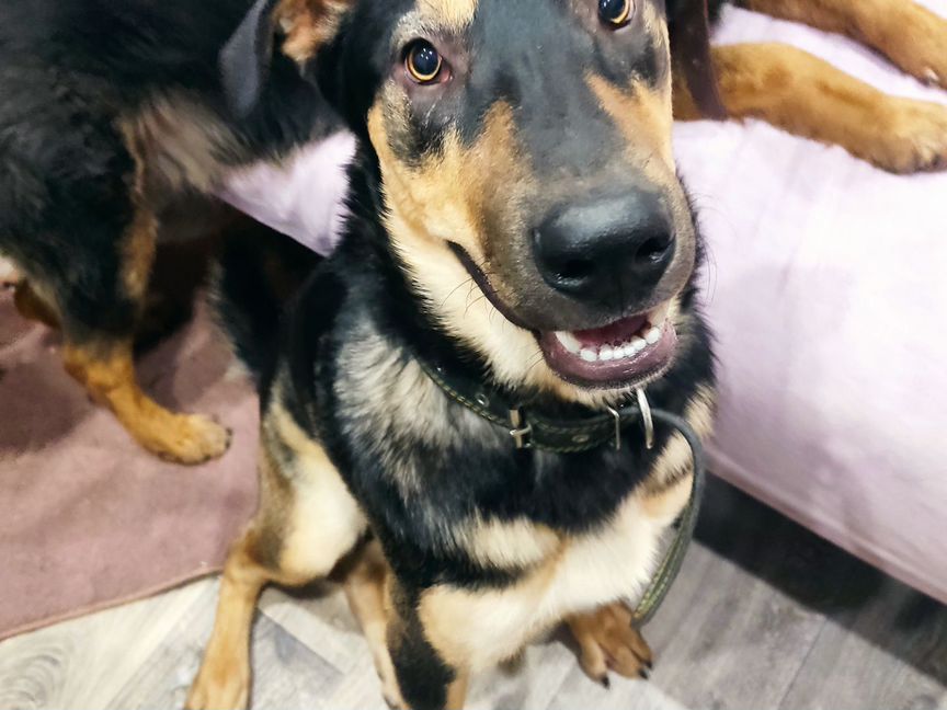 Мальчик 1 годик, в него стреляли но он выжил