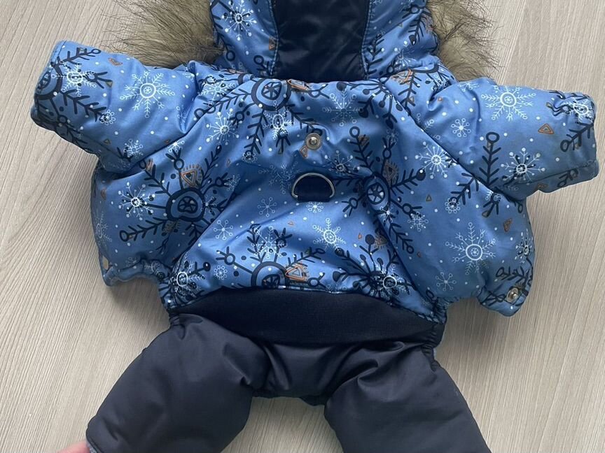 Зимний комбинезон на йорка
