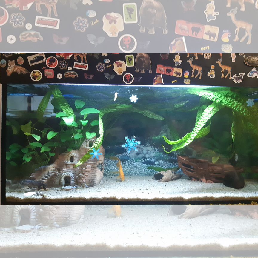 Аквариум с тумбой растениями и рыбками 200л