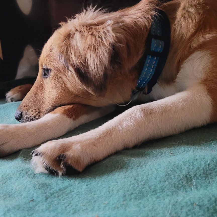 Такая малышка просто не должна жить на улице