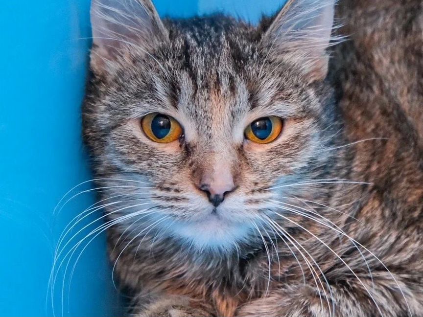 Беверли не хочет обратно на улицу