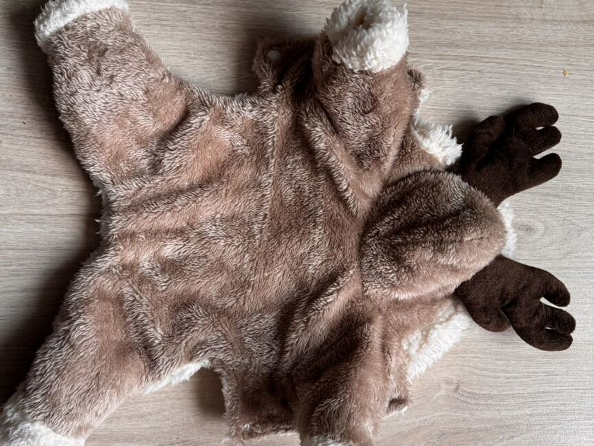 Костюм для собаки