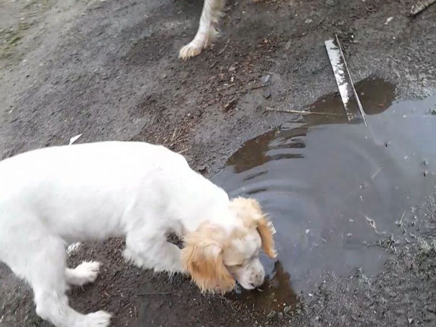 Доска для вейксерфинга