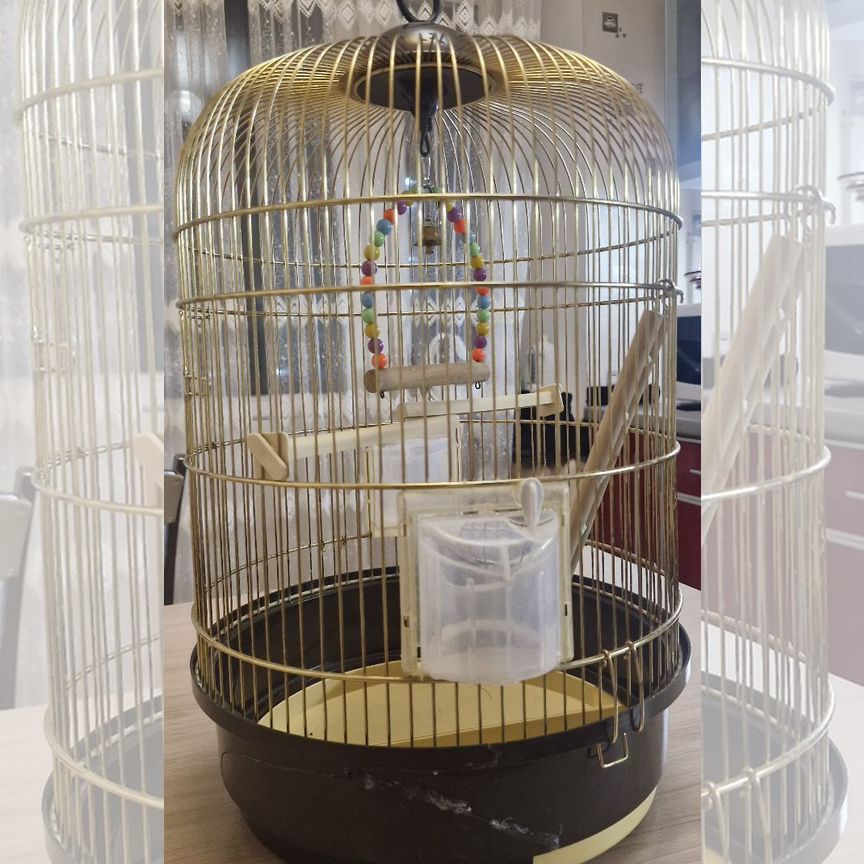 Клетка для попугая большая бу в хорошем состоянии