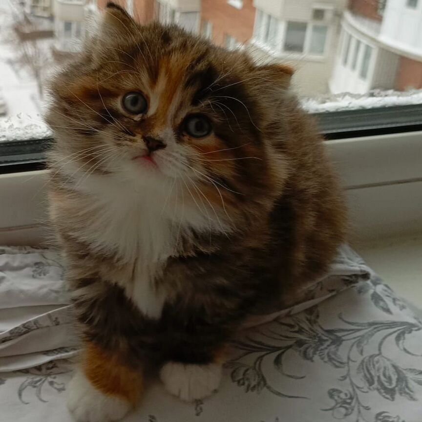 Очаровательная малышка