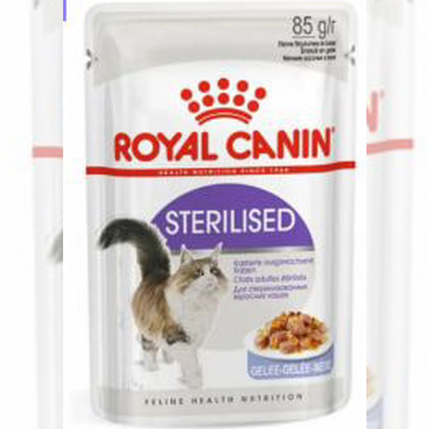 Кошачий корм влажный Royal Canin оптом