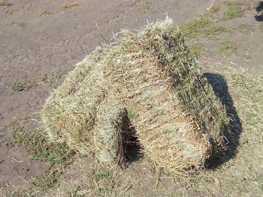 Сено в тюках
