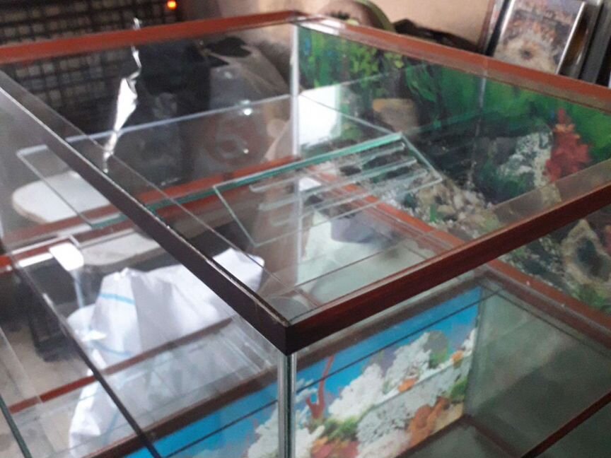 Террариум для чпрепах
