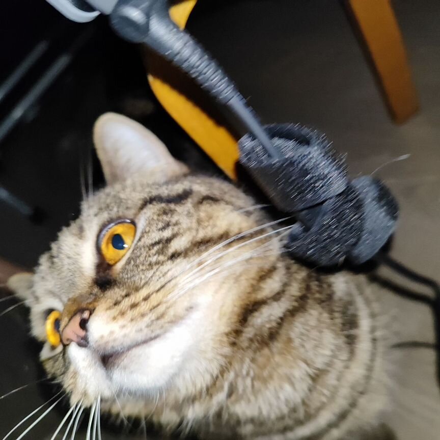 Отдам кошку в добрые руки