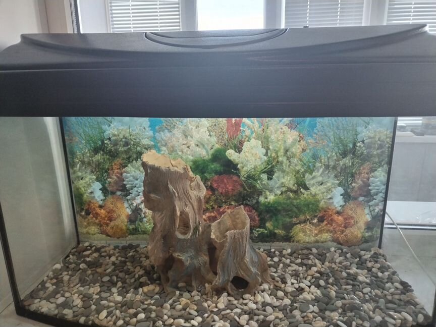 Аквариум для рыбок бу