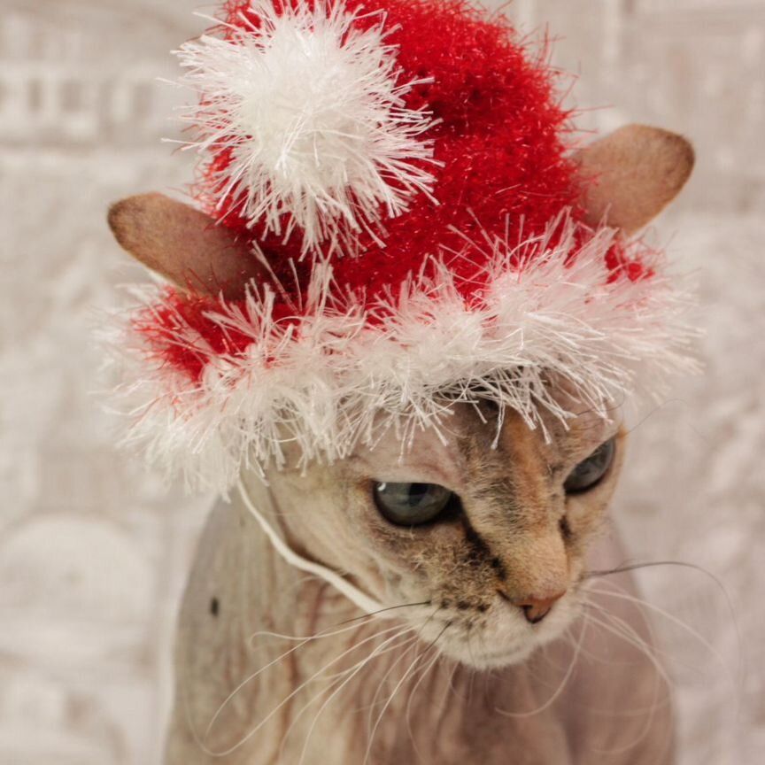 Шапочки для животных