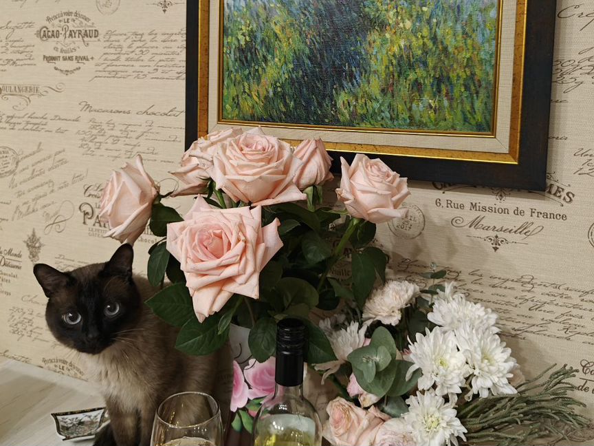 Тайский кот вязка