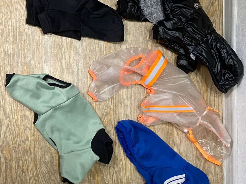 Вещи для маленьких собак