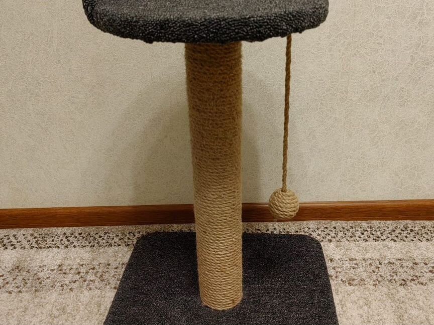 Когтеточка