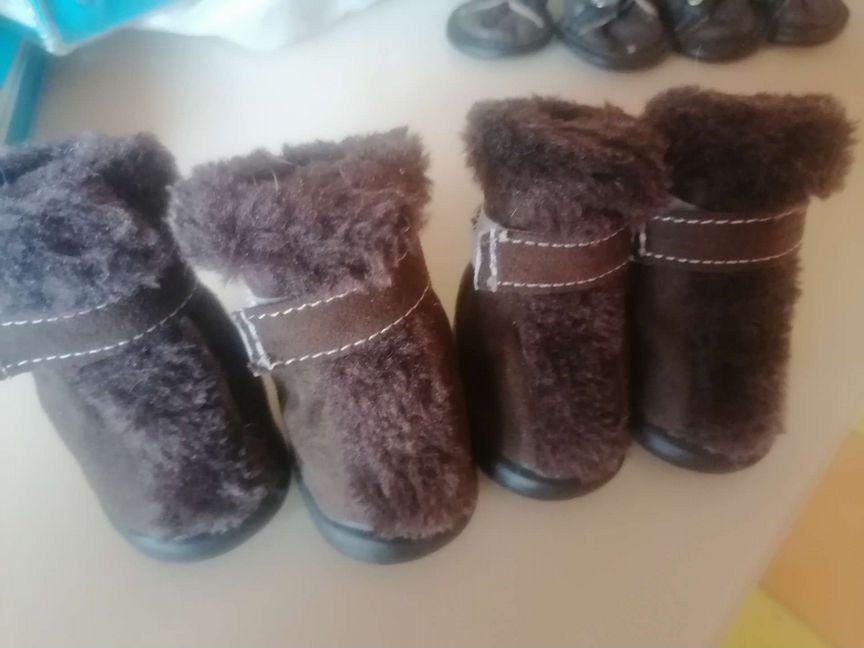 Зимние ботинки для собак