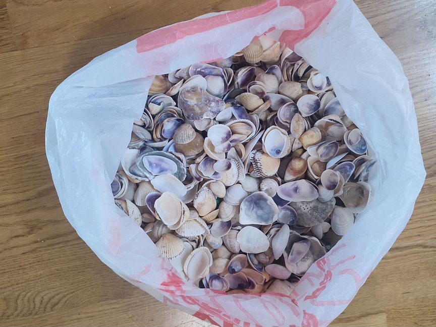 Морские ракушки раковины, камни для аквариума