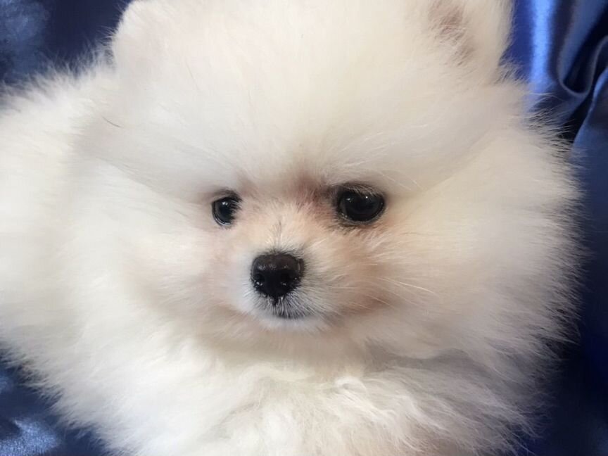 Мальчик кремовый Космос