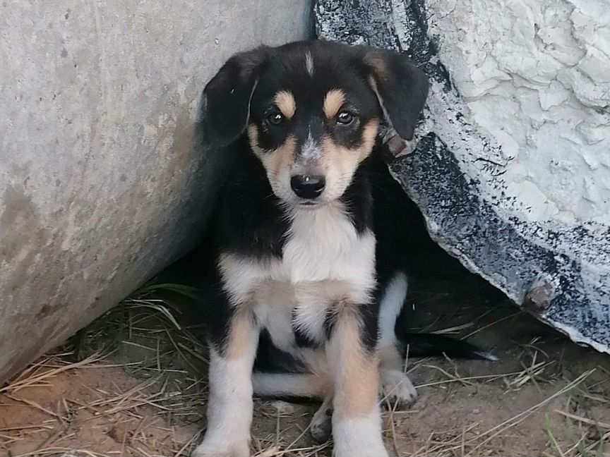 Малышка живёт в опасном месте