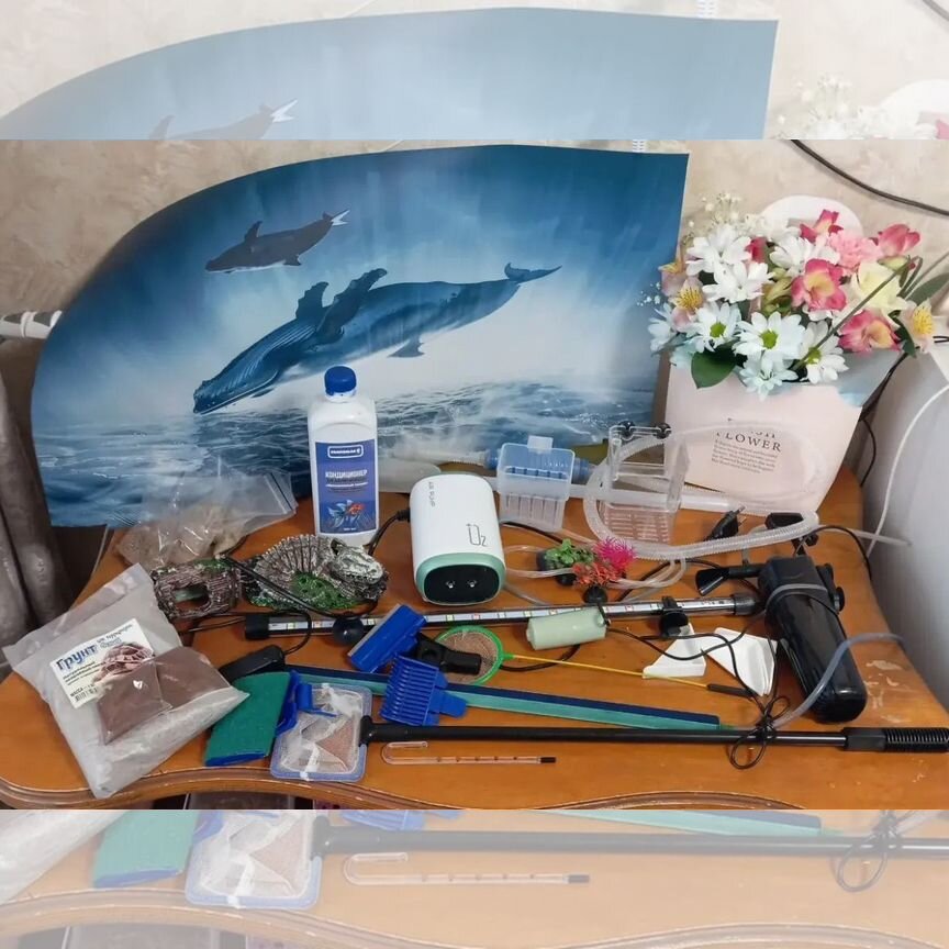 Все для аквариума