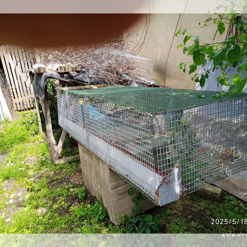 Клетка для кроликов, курей нутрий