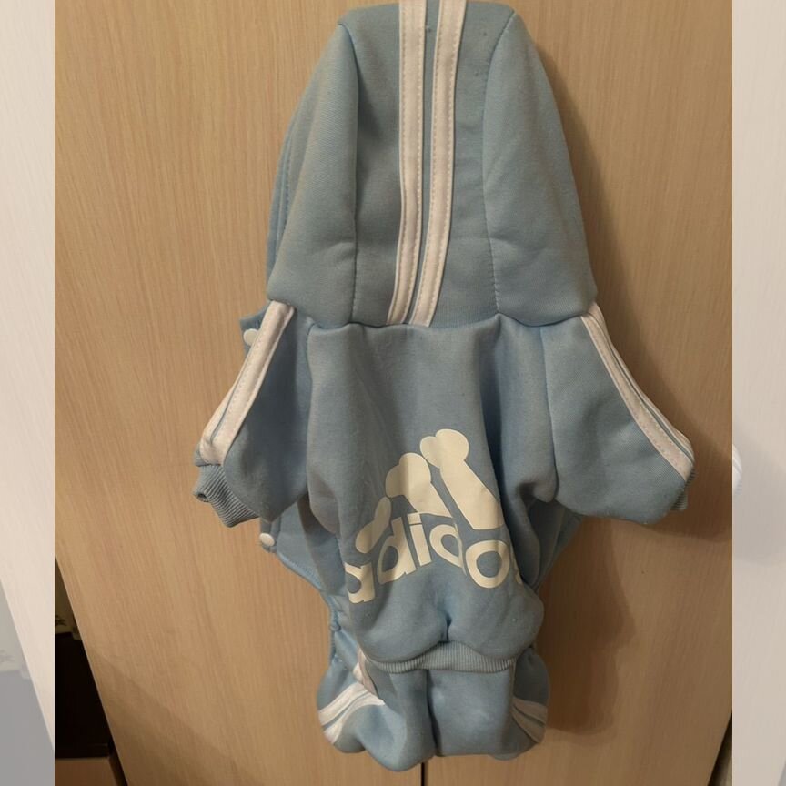 Одежда для собак