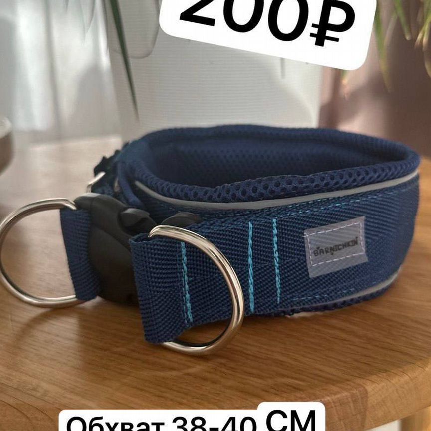 Ошейники и поводки для собак