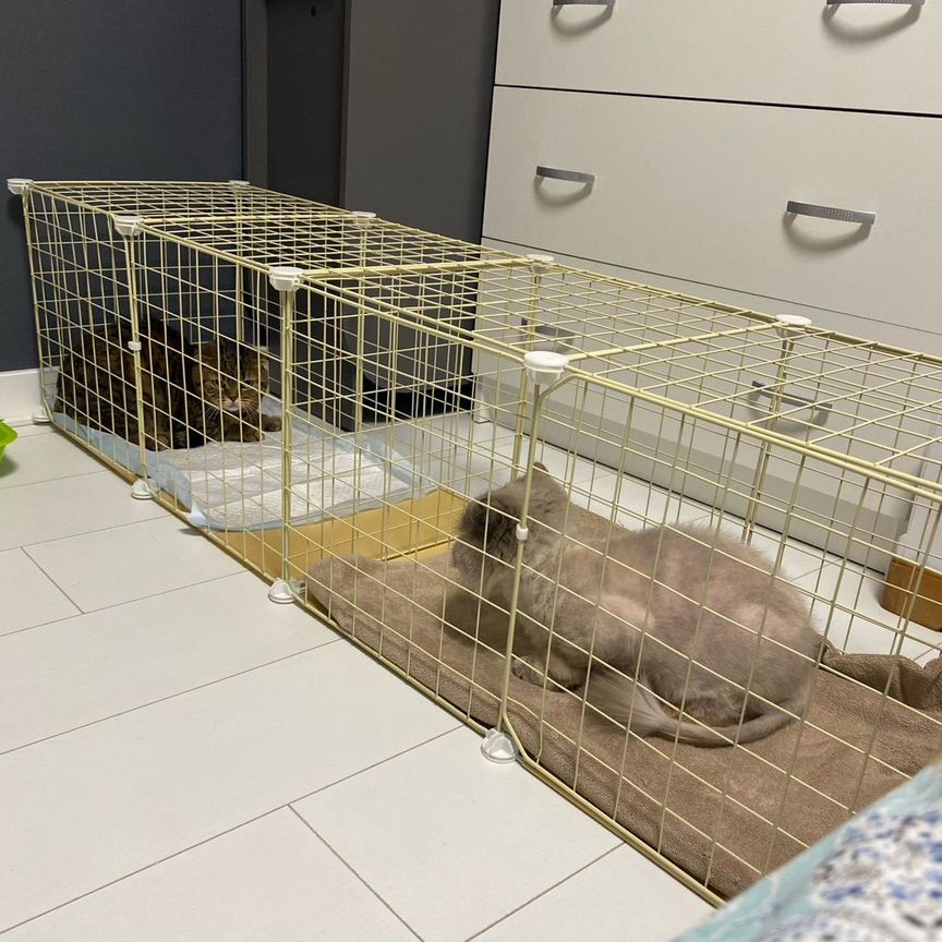 Клетка для животных