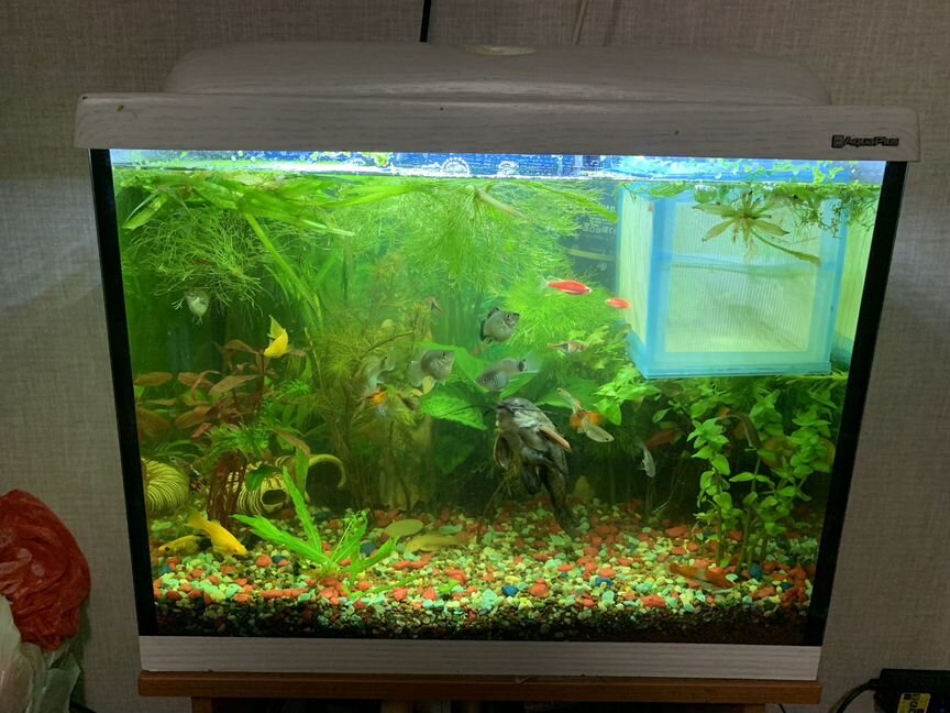 Аквариум с тумбой 60 литров