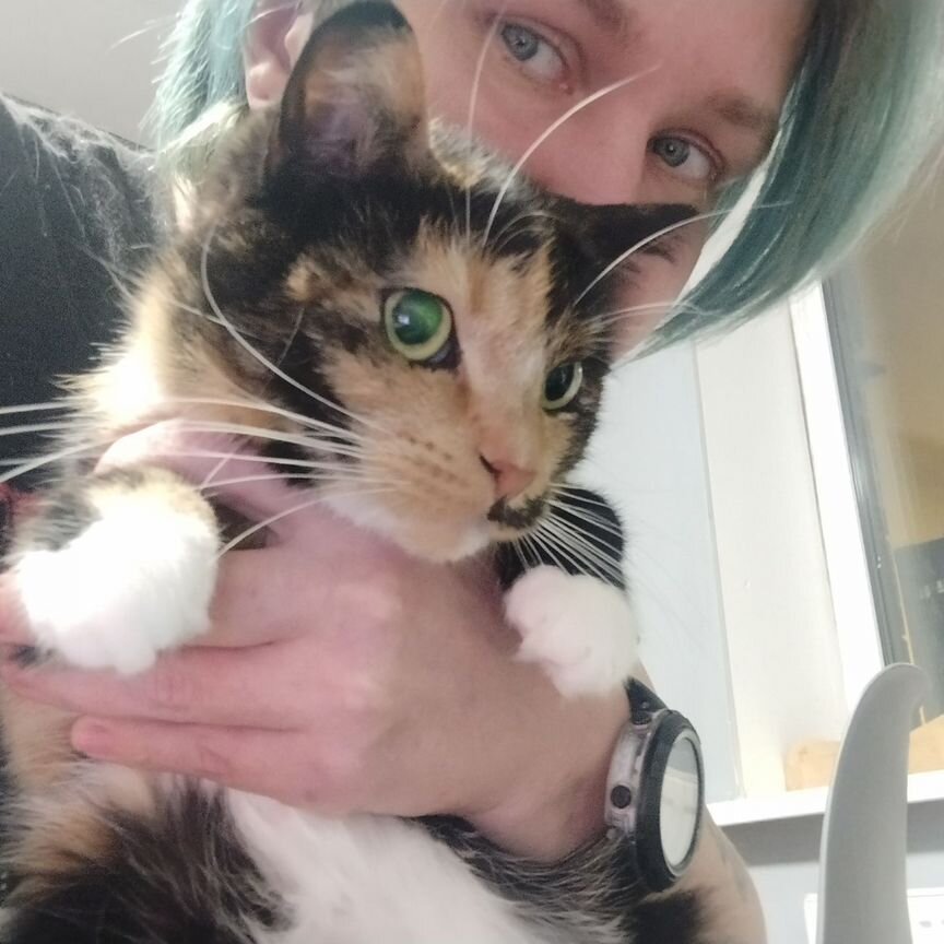 Выжила одна из всех, остальных отравили