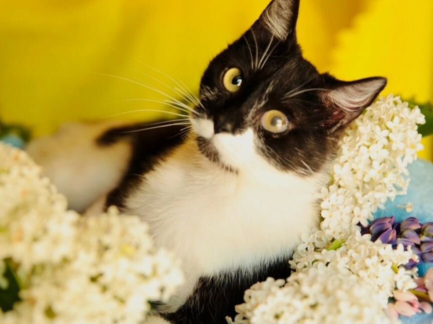 Люсенька подросток 6 месяцев