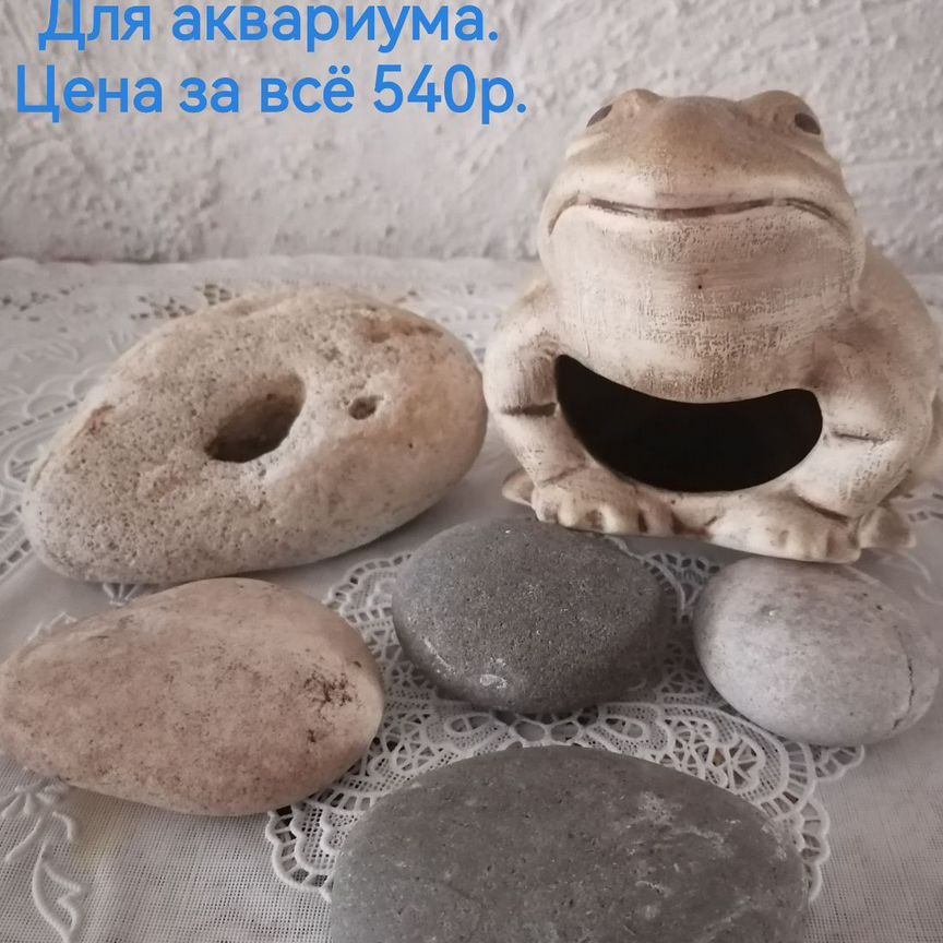 Для аквариума