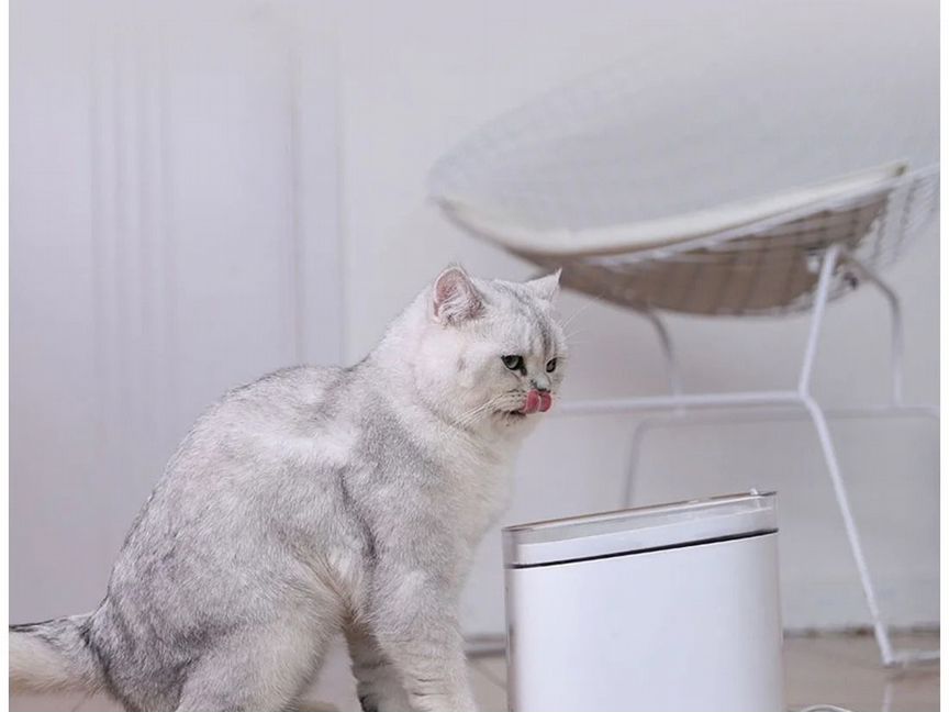 Мная автоматическая поилка Xiaomi Smart Pet Founta