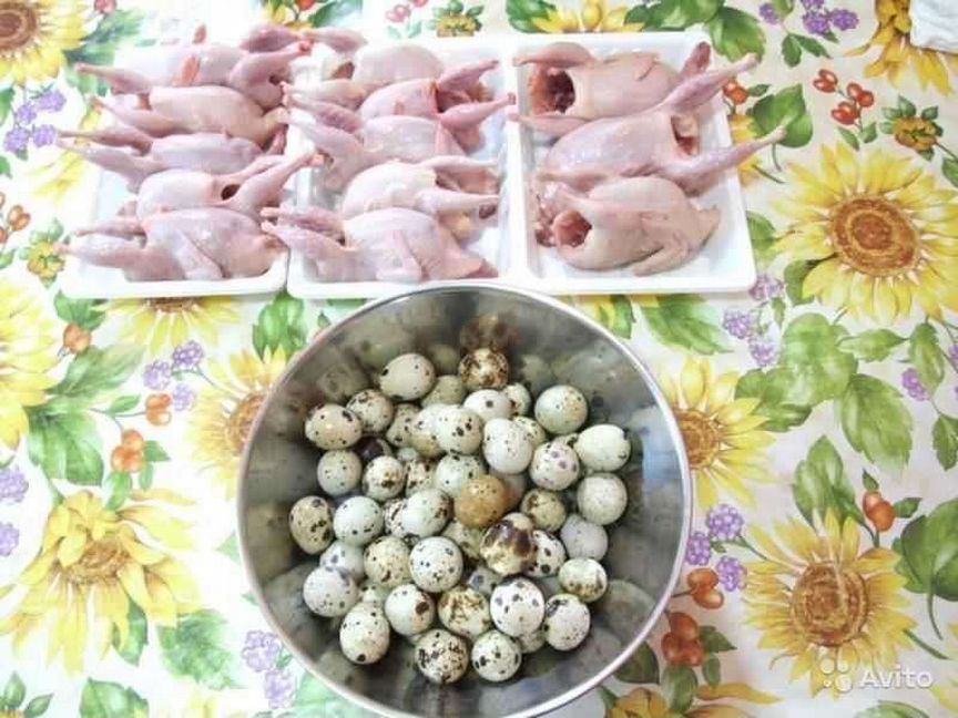 Перепелиное яйцо