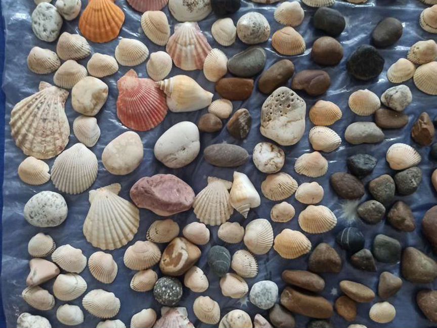 Морские камни и ракушки для декора и грунта аквари