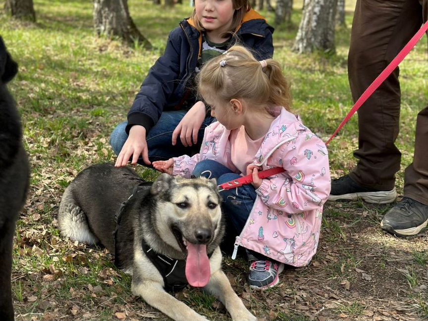 Дженни ждёт семью