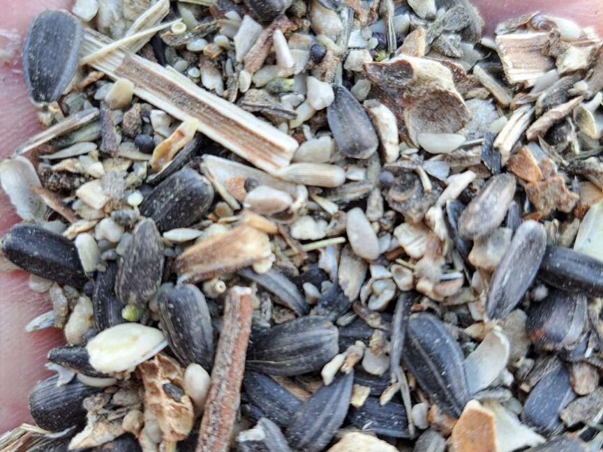 Отходы семечки