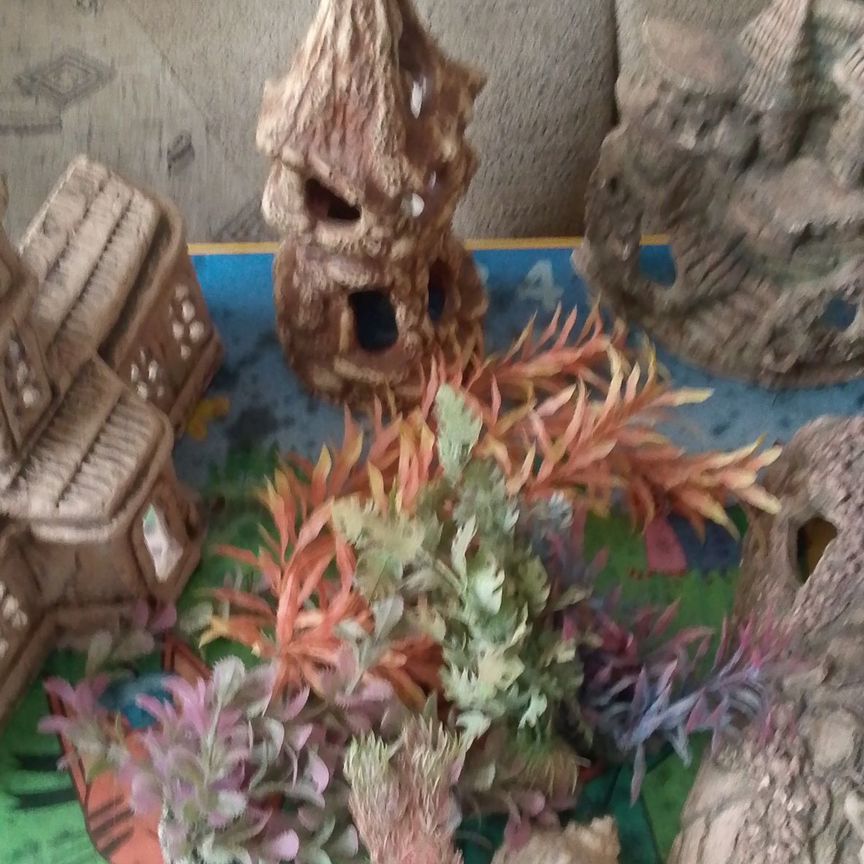 Декорации для аквариума большие