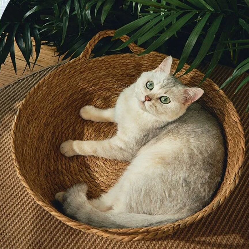 Лежанка для кошек и собак плетеная
