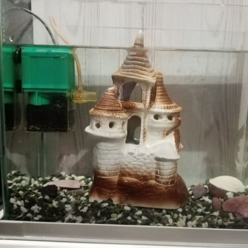Аквариум