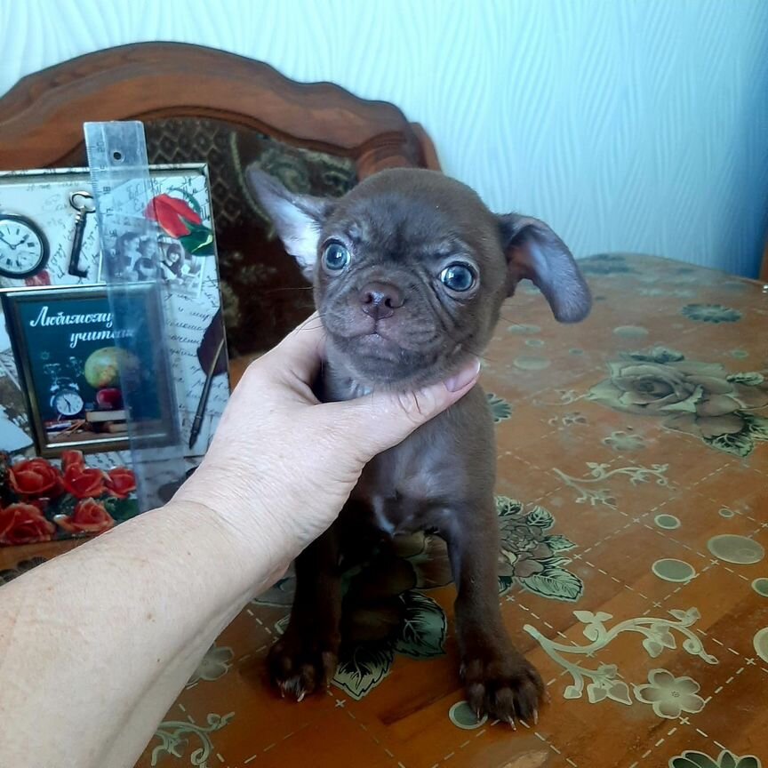 Мальчишка