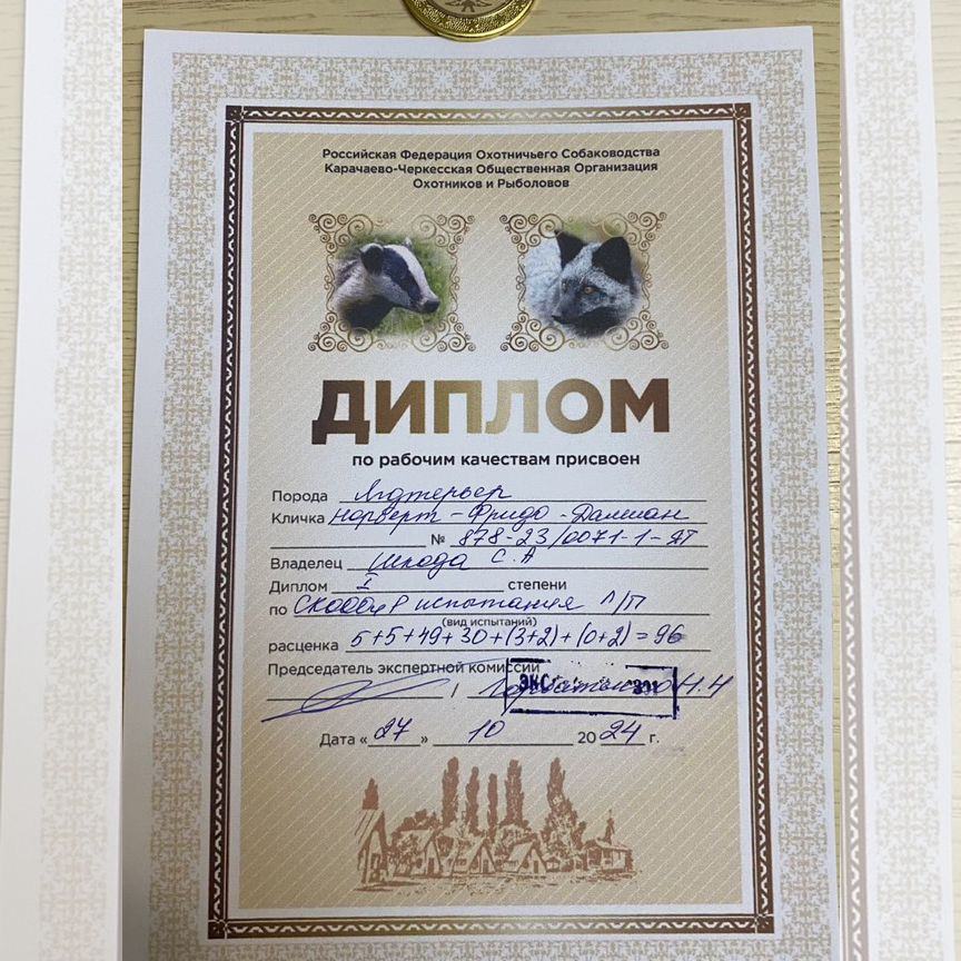 Щенки немецкого ягдтерьера