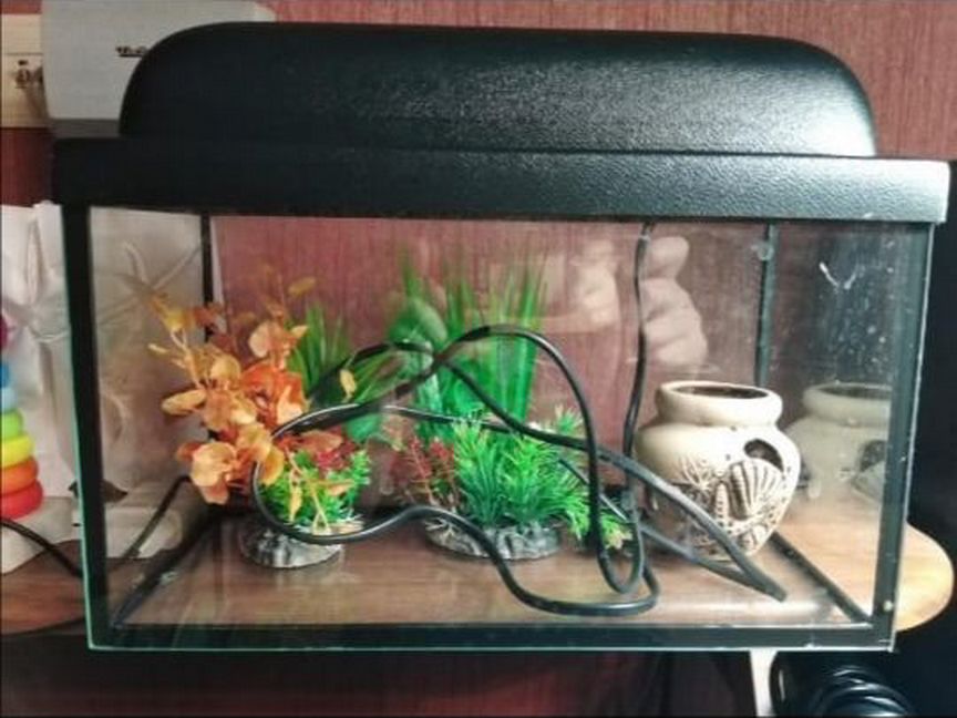 Аквариум с декорациями на 5 л