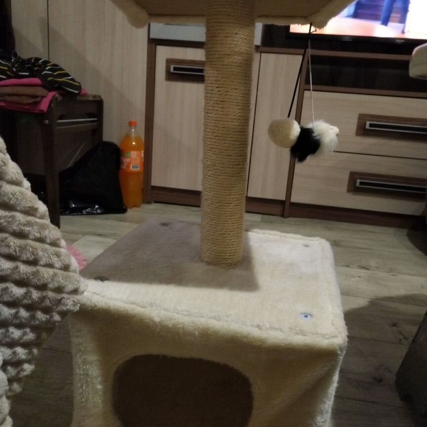 Когтеточка домик для кошки бу