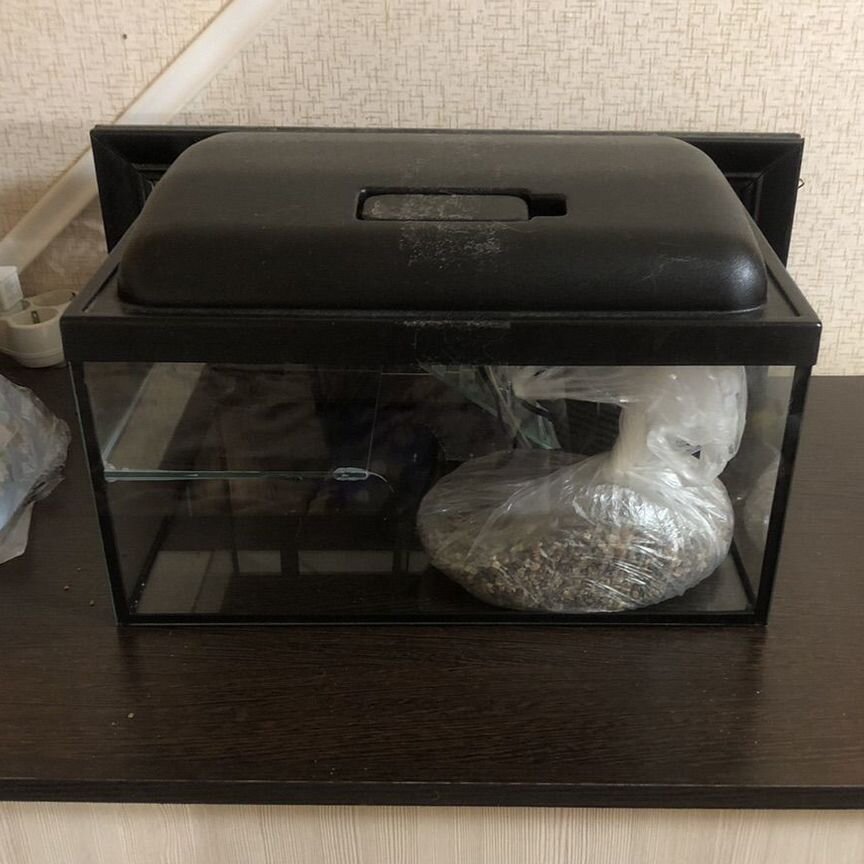 Террариум для рептилий