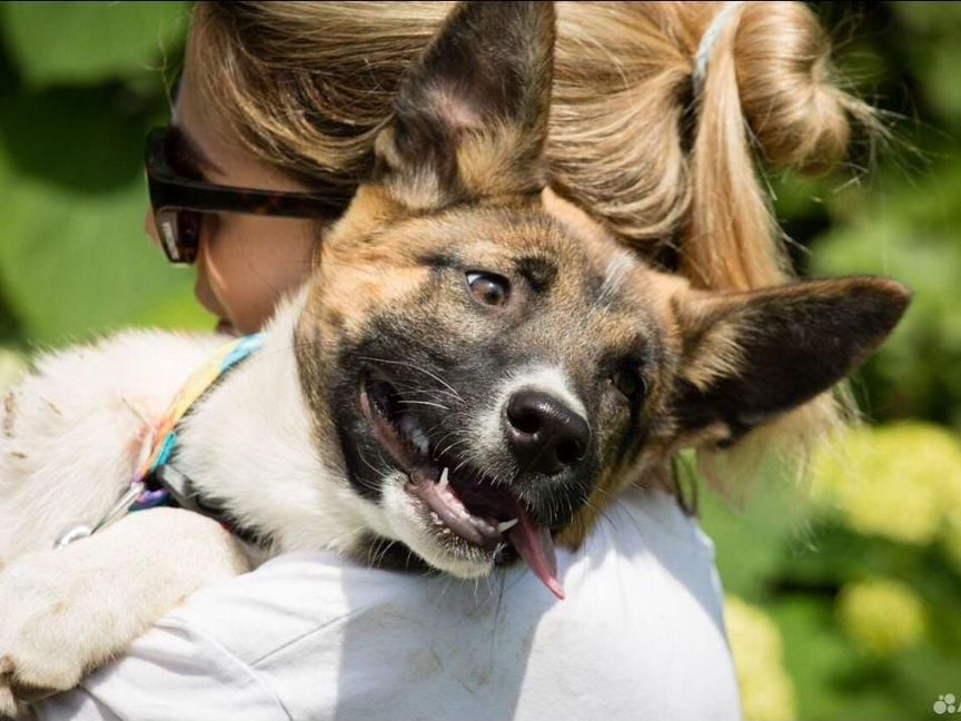 Норд в добрые руки
