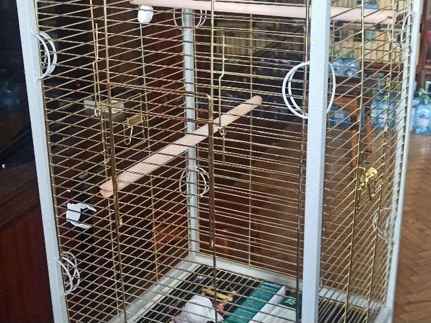 Клетка-вальер для больших попугаев