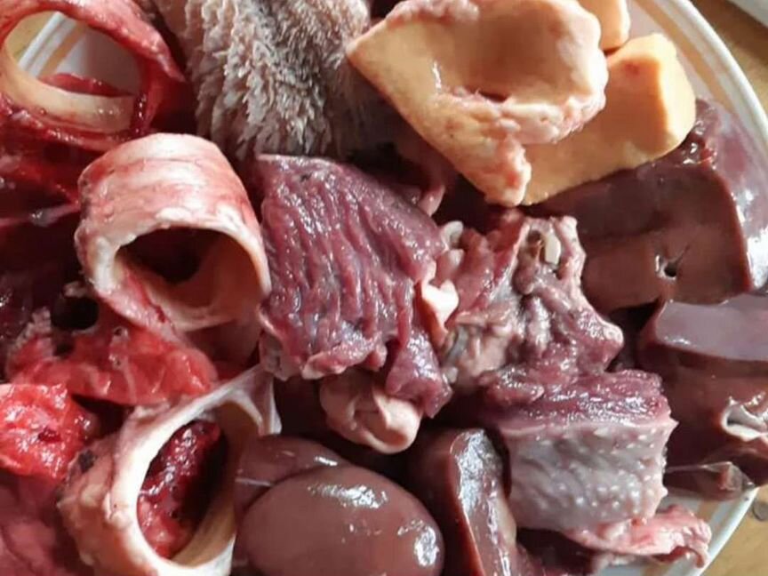 Готовые смеси для собак. Мясо, корм для собак