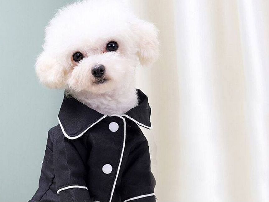 Кофта для собаки или кота, пижама