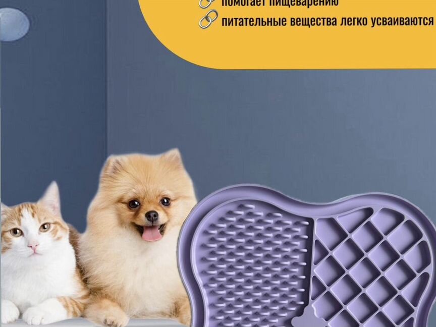 Миска для животных